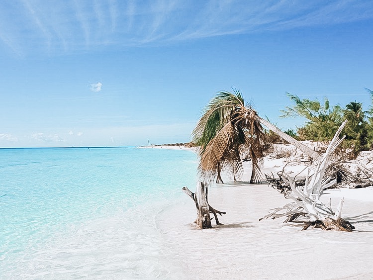 The Cuban Keys – Trippingbites